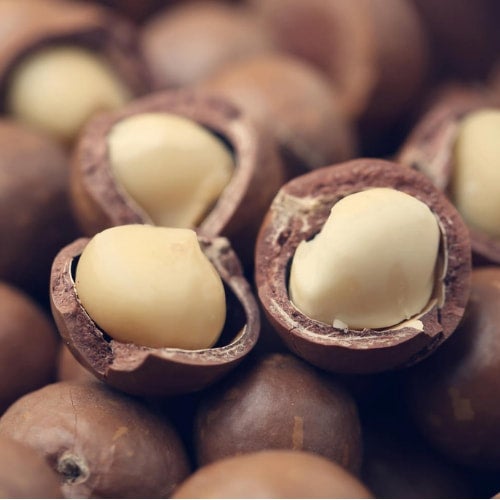 Vanilla Macadamia | Whiff Roasters